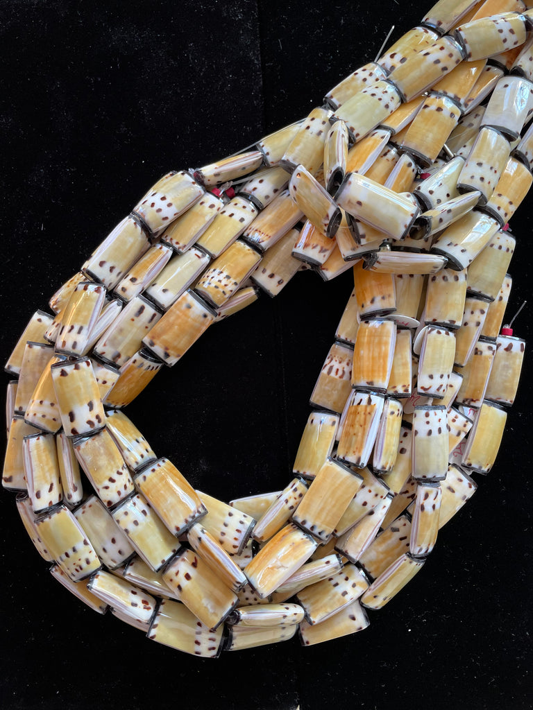 Capitaneus Shell Chiclet– JM Gems