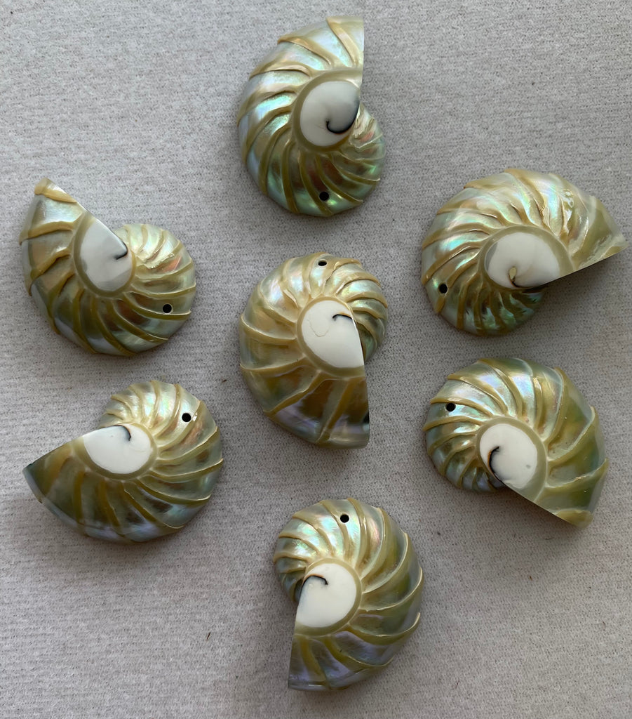 Philippine Shell 9 Cut Tiger's Eye with Grooving– JM Gems